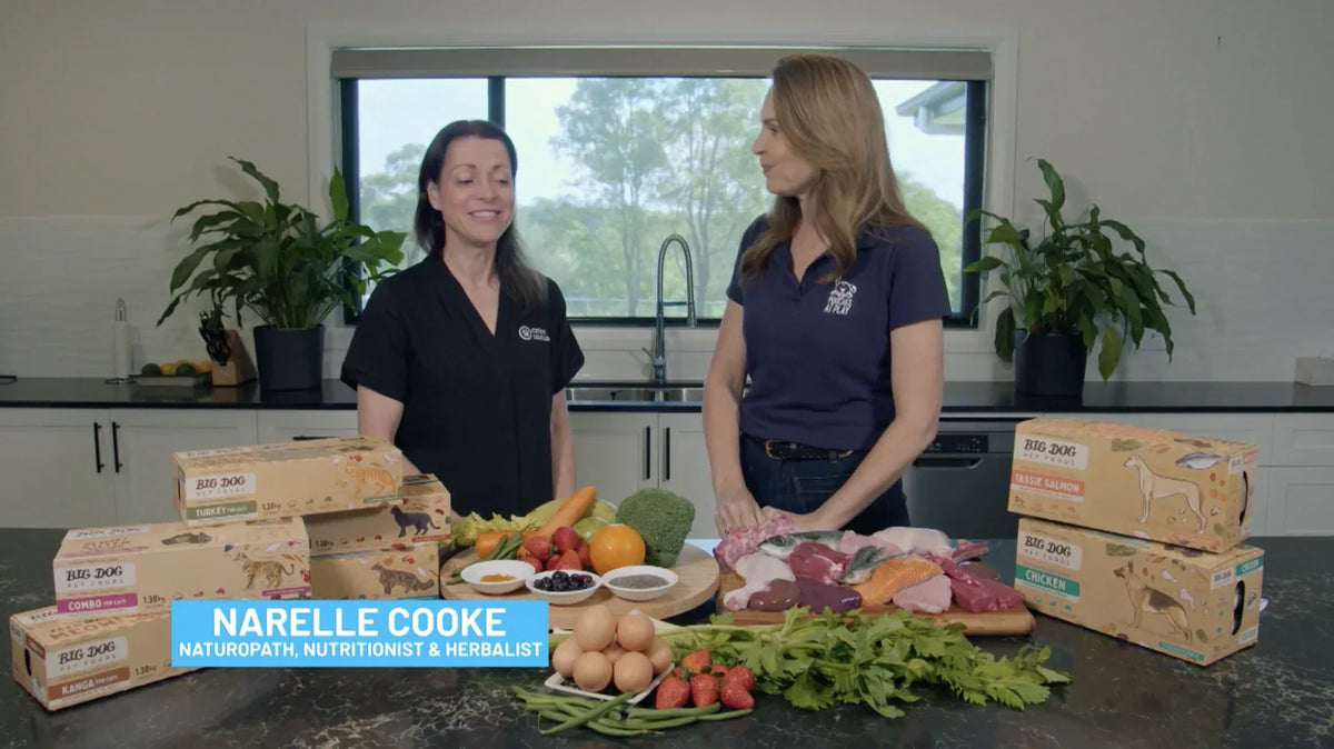 Raw vs Cooked Dog Food: How Processing Affects Nutrition | CanineCeuticals