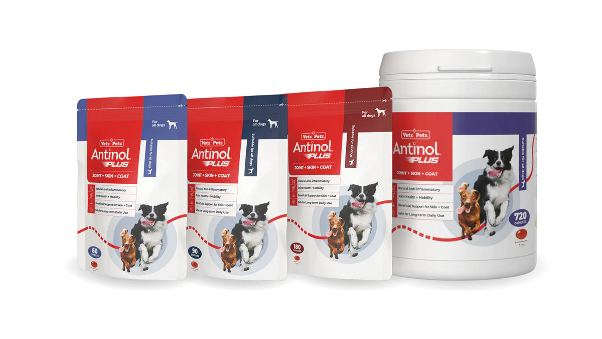 Antinol Plus – CanineCeuticals