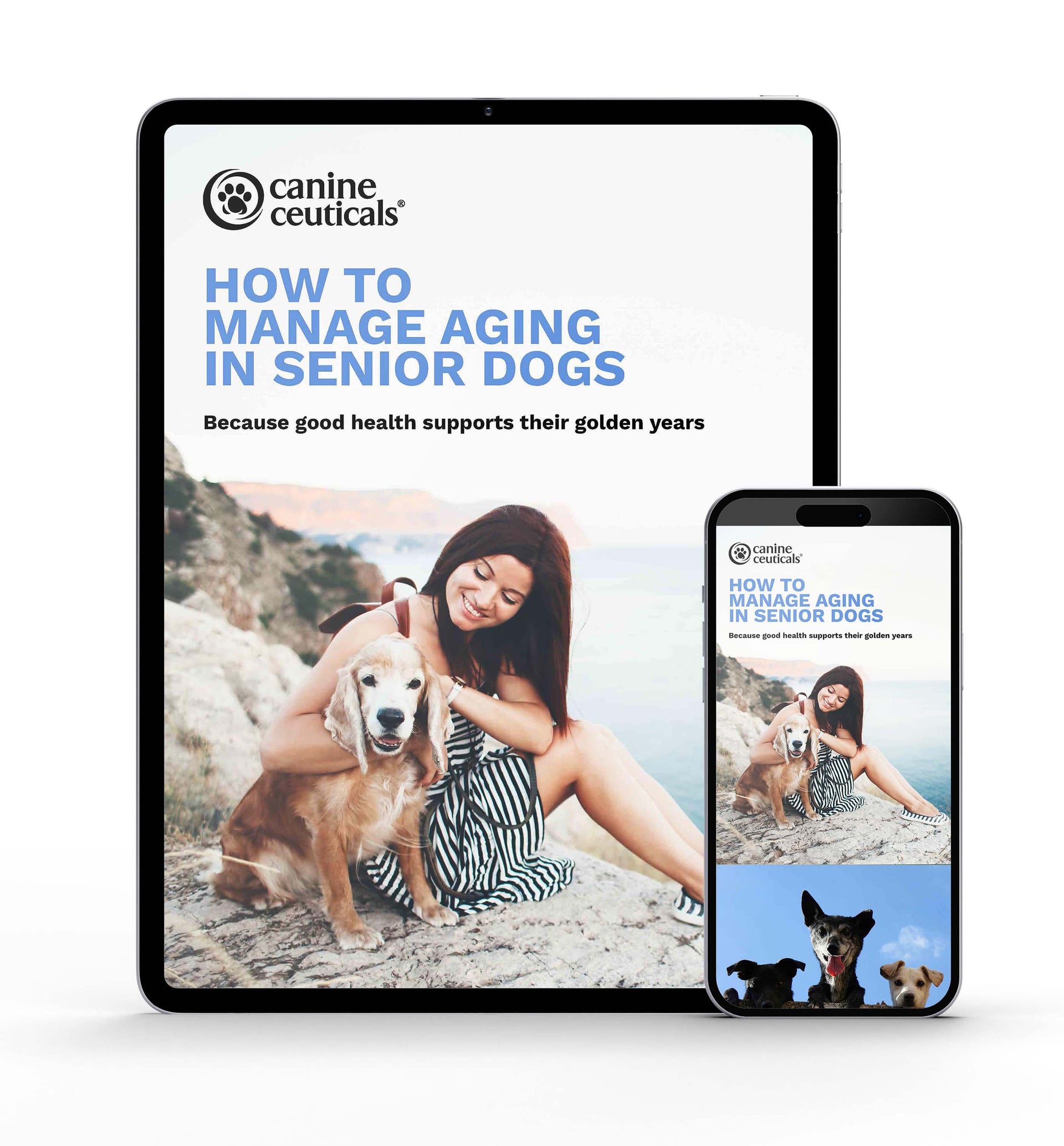 Decoding Your Canine – CanineCeuticals